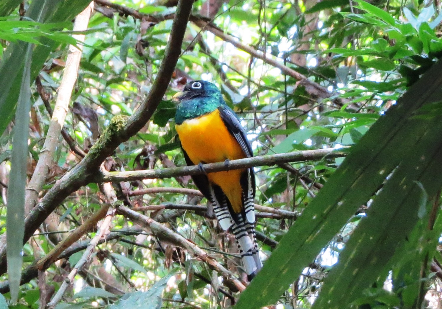 Portfolio – Wildlife | Eclipse Adventure Travel